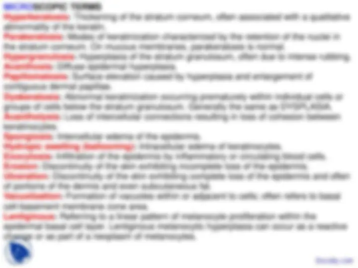 Skin Tumors - Pathology - Lecture Slides | Slides Pathology | Docsity