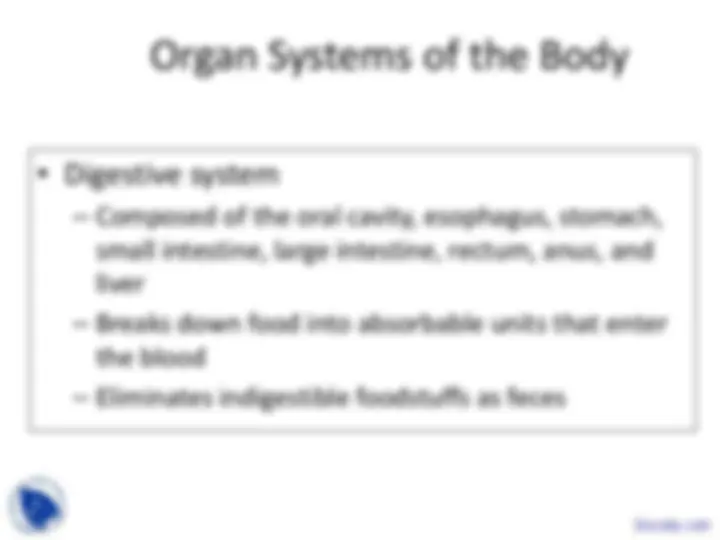 Human Anatomy and Physiology - Physiology - Lecture Slides | Slides Physiology | Docsity