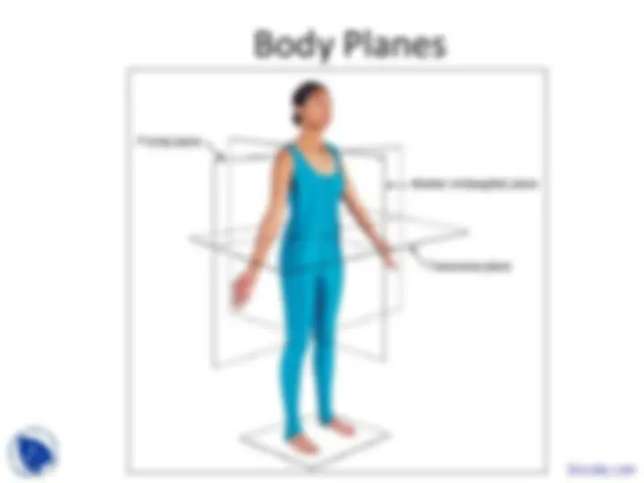 Human Anatomy and Physiology - Physiology - Lecture Slides | Slides ...