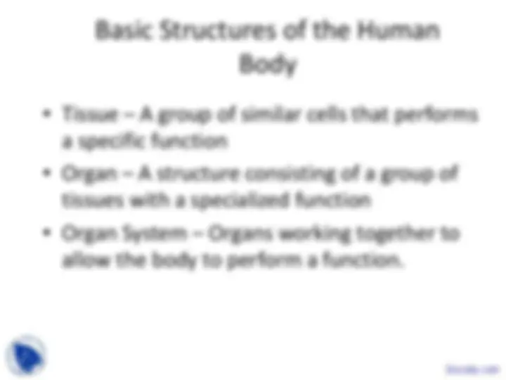 Human Anatomy and Physiology - Physiology - Lecture Slides | Slides ...