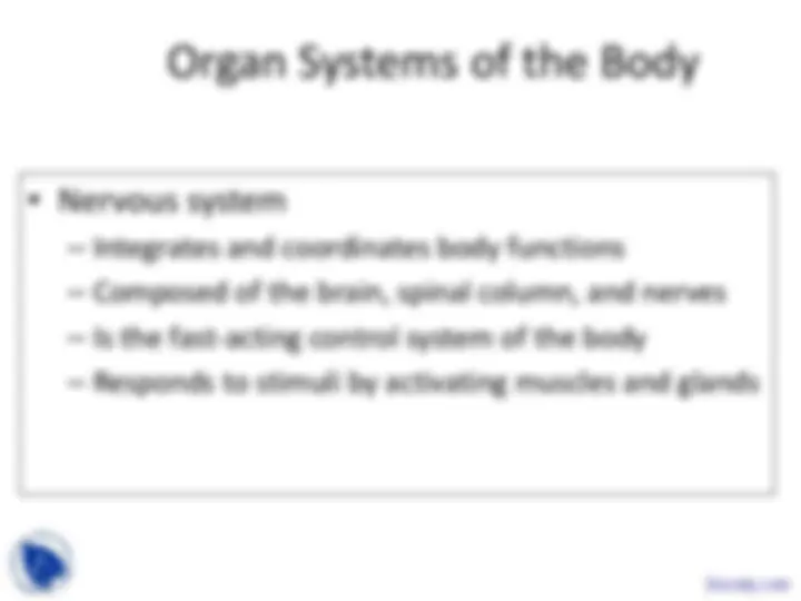 Human Anatomy and Physiology - Physiology - Lecture Slides | Slides Physiology | Docsity