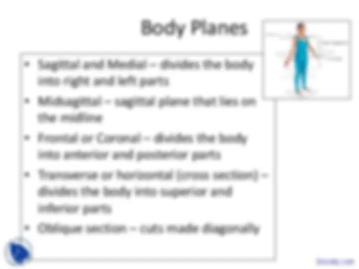 Human Anatomy and Physiology - Physiology - Lecture Slides | Slides ...