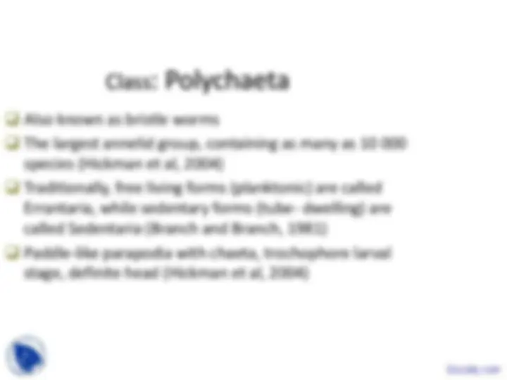 First Segmented Bodies - Ecosystem Processes - Lecture Slides | Slides ...