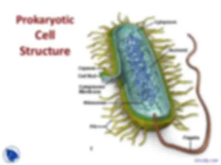 Plant Cell - Botany Introductory - Lecture Slides | Slides Botany and ...