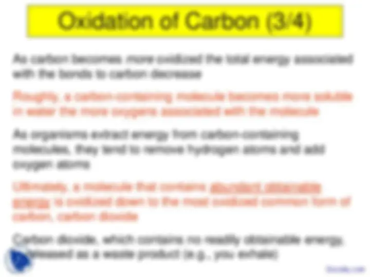 Carbon Chemistry - Introduction to Biology - Lecture Slides | Slides ...