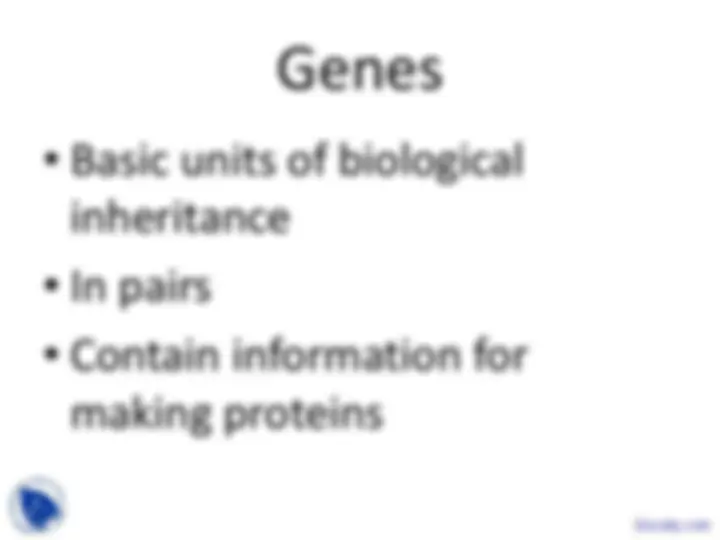 More Genetics - Agriscience and Biotechnology - Lecture Slides | Slides ...