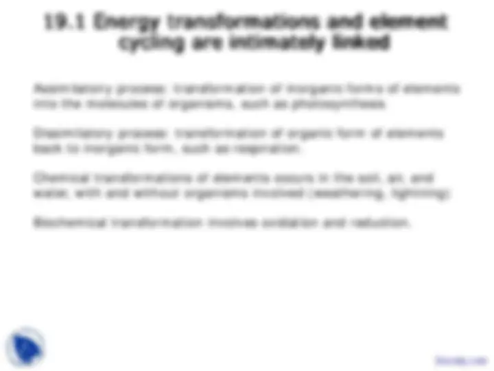 Pathways of Elements in Ecosystems - Principles of Ecology - Lecture ...