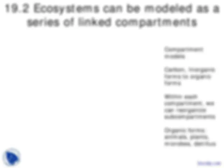 Pathways of Elements in Ecosystems - Principles of Ecology - Lecture ...