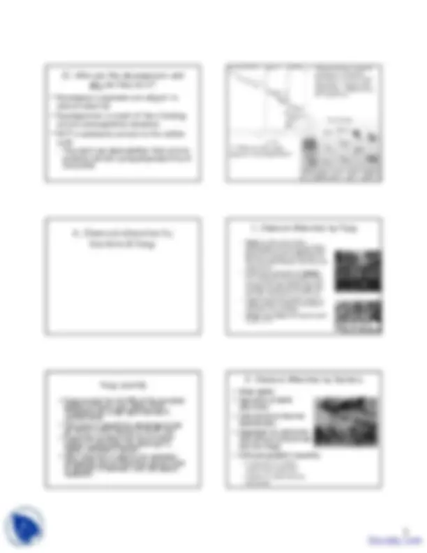 Terrestrial Decomposition - Ecosystem Ecology and Global Change - Lecture Slides | Slides ...