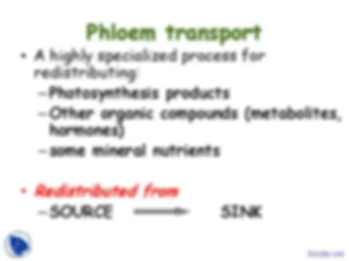 Translocation in the Phloem - General Botany - Lecture Slides | Slides ...