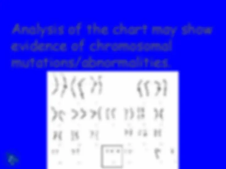 Understanding Karyotypes: Chromosome Photo for Genetic Analysis ...