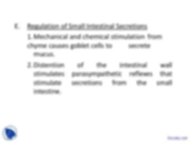 Small Intestine and Large Intestine - Physiology and Anatomy - Lecture ...