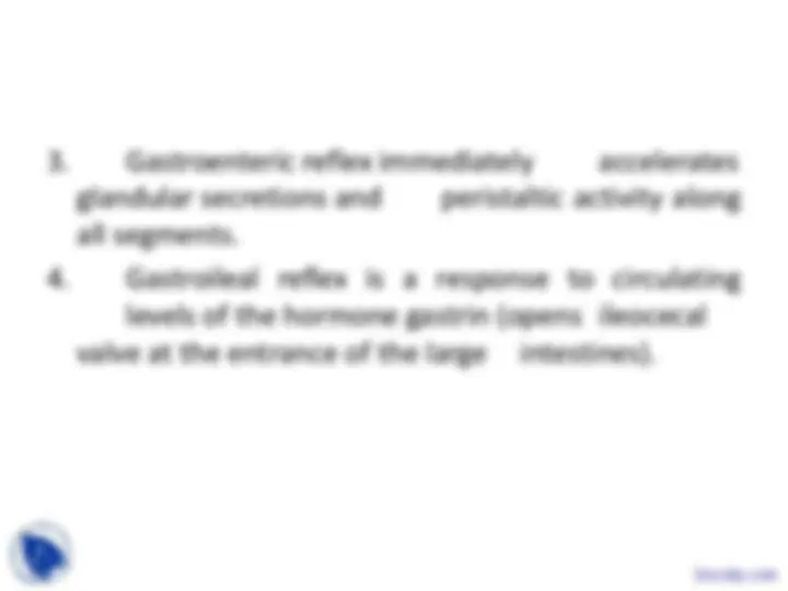 Small Intestine and Large Intestine - Physiology and Anatomy - Lecture ...