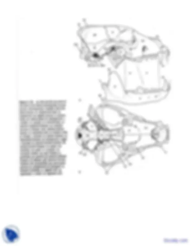 Anatomy and Diversity of Mammalia - Vertbrate Zoology - Lab Manual ...
