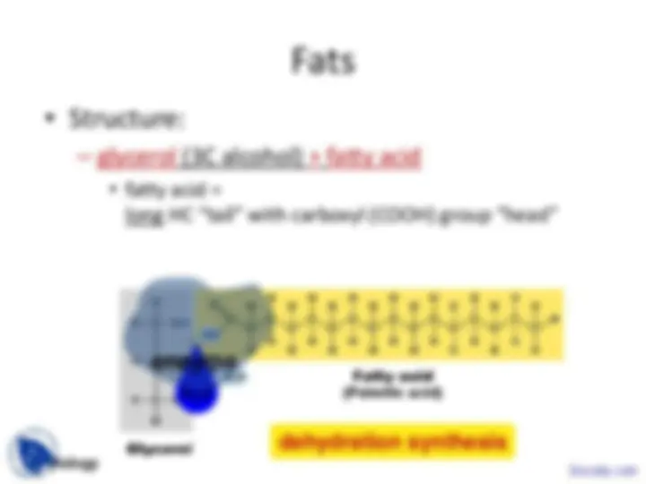 Fats and Oils - Application of Biology - Lecture Slides | Slides ...