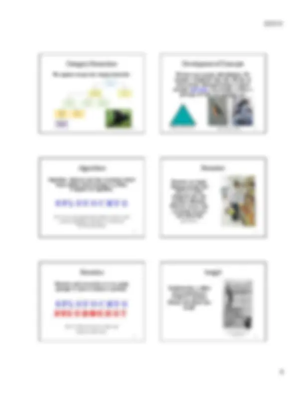 Language & Thinking: Examining the Link between Language & Cognitive ...