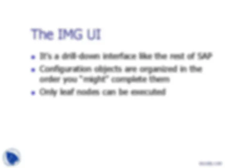 Understanding SAP IMG Interface: Accessing, Defining, and Using IMG UI ...