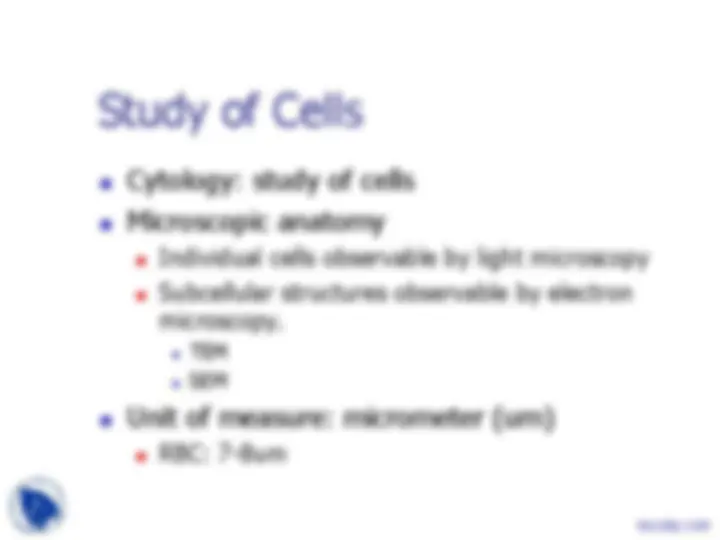 Structure and Function of Cell - Basic Human Anatomy - Lecture Slides | Slides Anatomy | Docsity