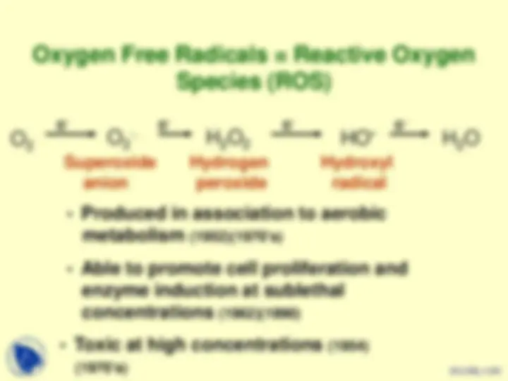 Role of Reactive Oxygen Species (ROS) in Ambient Air Particle Oxidant ...