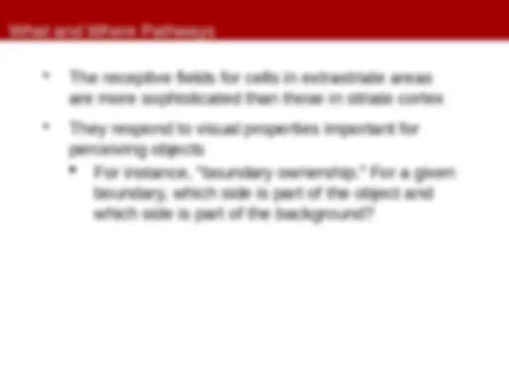 Understanding Visual Processing: Pathways, Middle Vision, and Object Recognition - Prof. M ...