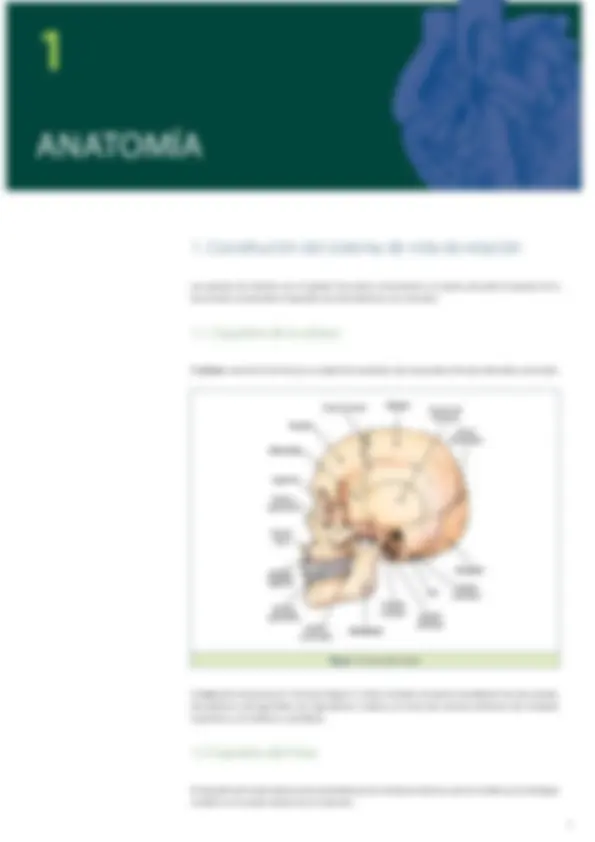 Ciencias básicas 2. cto.anatomia | Resúmenes de Anatomía | Docsity
