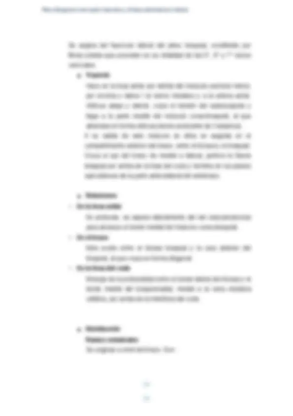 monografia plexo braquial | Monografías, Ensayos de Anatomía | Docsity