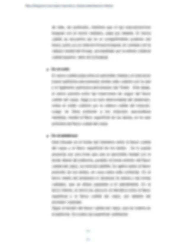 monografia plexo braquial | Monografías, Ensayos de Anatomía | Docsity