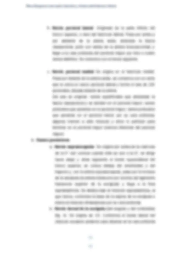 monografia plexo braquial | Monografías, Ensayos de Anatomía | Docsity