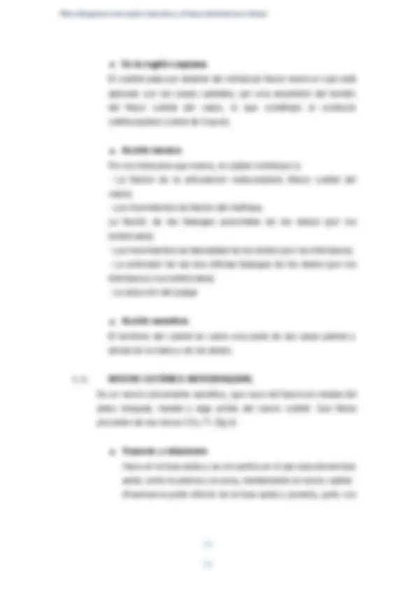 monografia plexo braquial | Monografías, Ensayos de Anatomía | Docsity