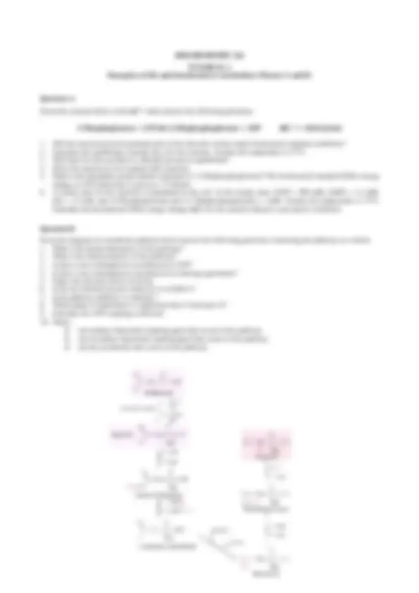 Biochemistry tutorial questions | Exercises Biochemistry | Docsity