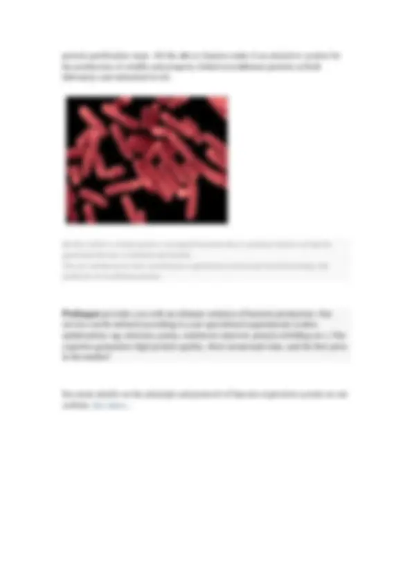 Bacteria Expression: E. coli and Bacillus subtilis as Protein ...