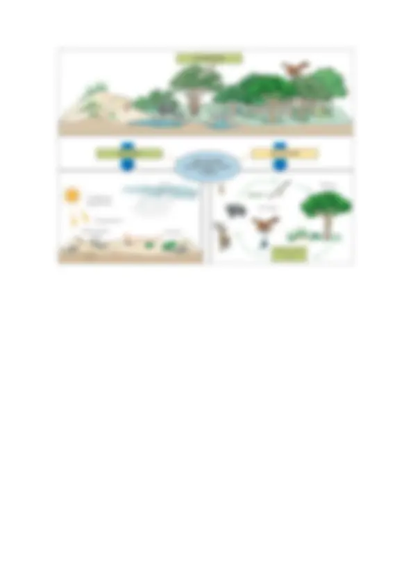 Ecosistemas de la República Dominicana | Apuntes de Ciencias de la ...