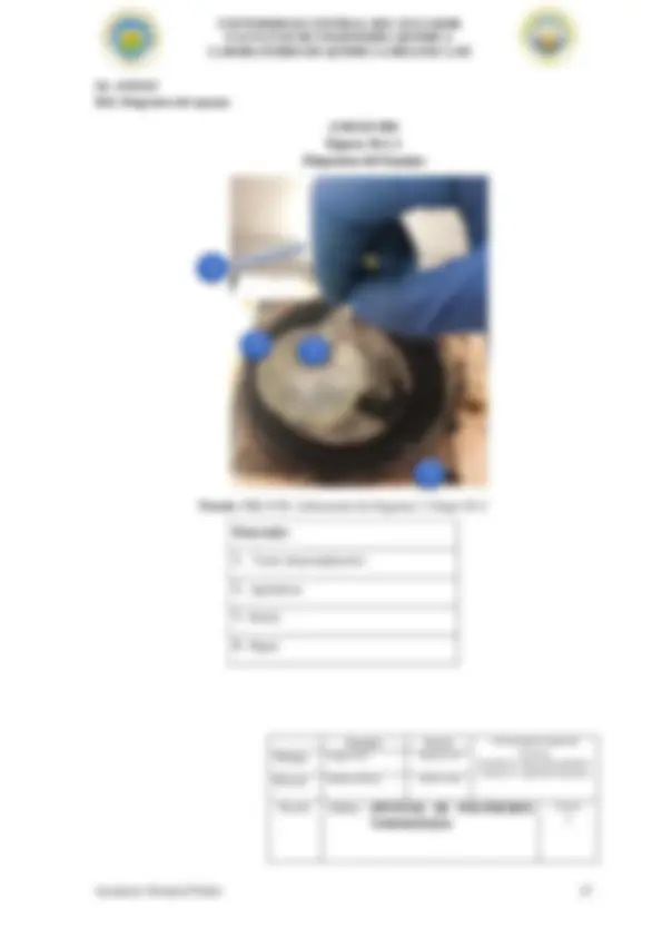 SÍNTESIS DE POLÍMEROS TERMOFIJOs | Apuntes de Química Orgánica | Docsity
