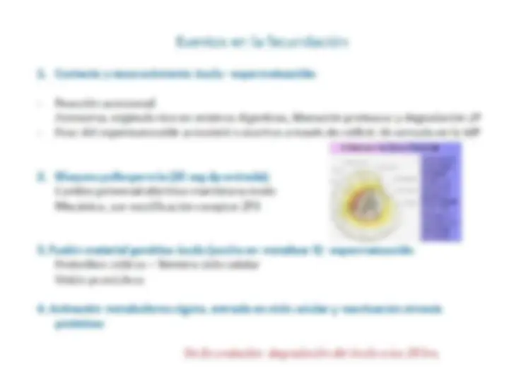 Fecundación y Desarrollo Embrionario: Un Resumen Completo | Diapositivas de Biología | Docsity