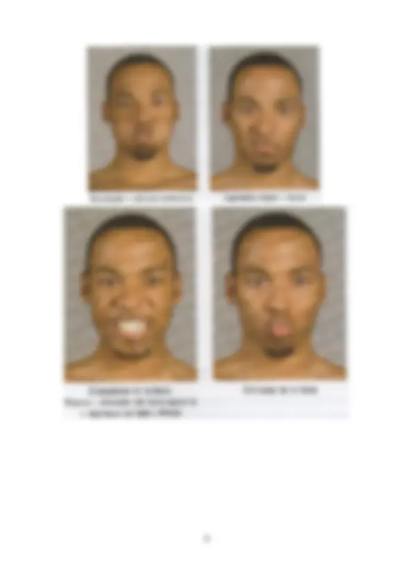 Músculos Faciales, características, funciones, inervación, irrigación ...