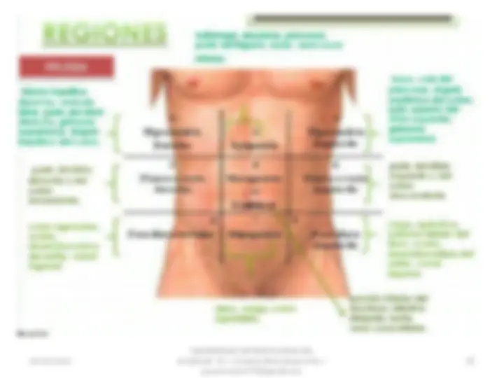 EXPOSICION DEL EXAMEN FISICO DEL ABDOMEN | Assignments Semiology | Docsity