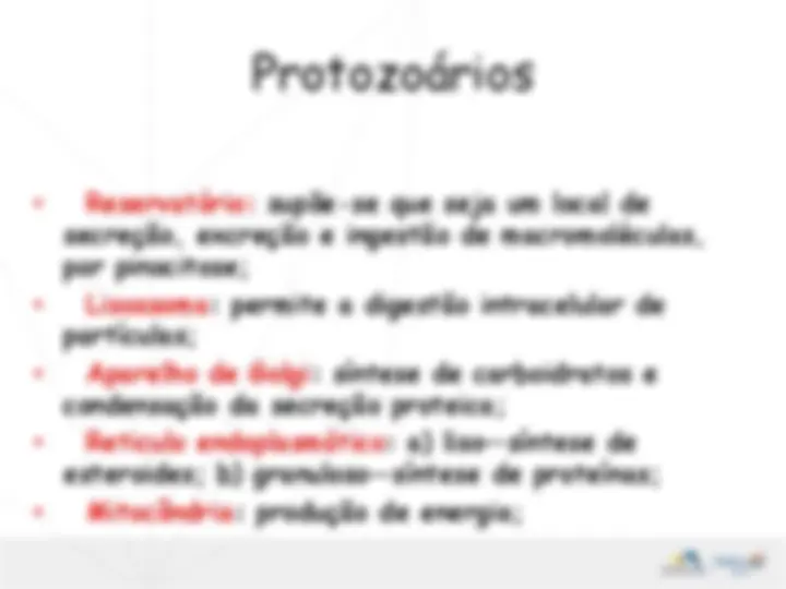 Introdução à Protozoologia: Morfologia, Fisiologia e Ciclo de Vida dos ...