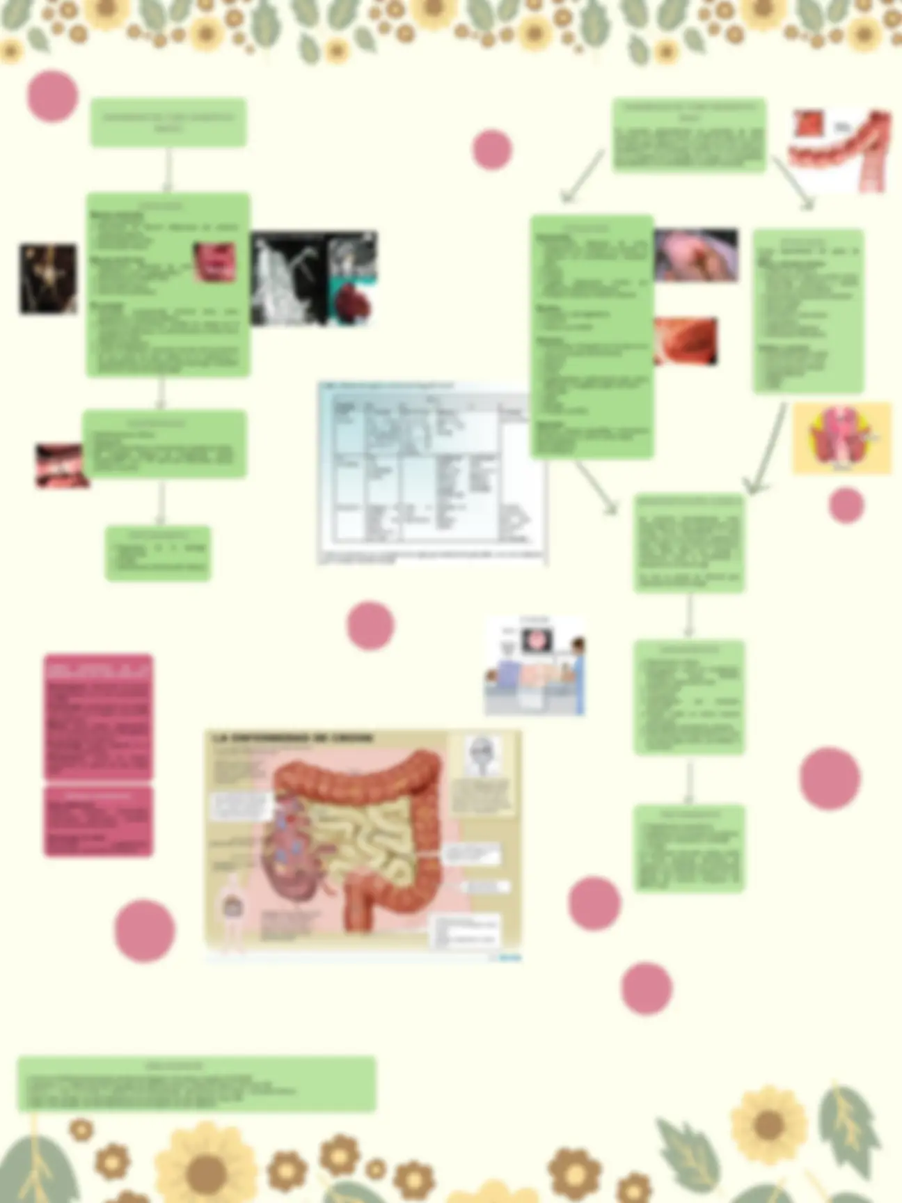 Hemorragia de tubo digestivo | Esquemas y mapas conceptuales de ...
