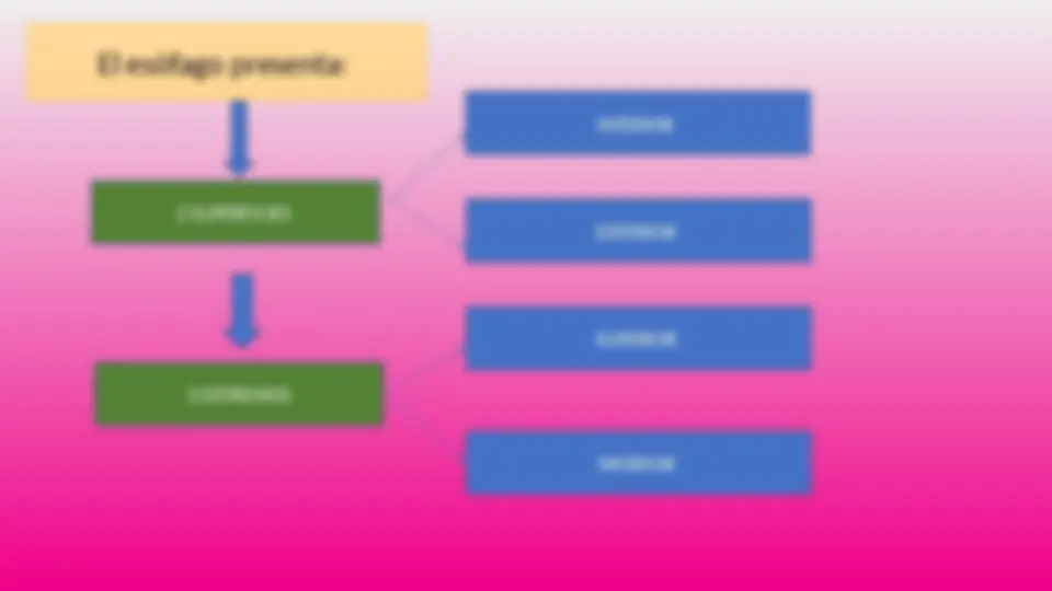 Anatomía del Sistema Digestivo: Boca, Dientes, Glándulas Salivales y ...