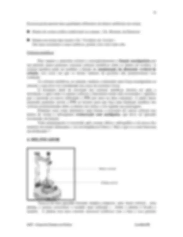 Apostila de Protese Parcial Removivel | Resumos Odontologia | Docsity