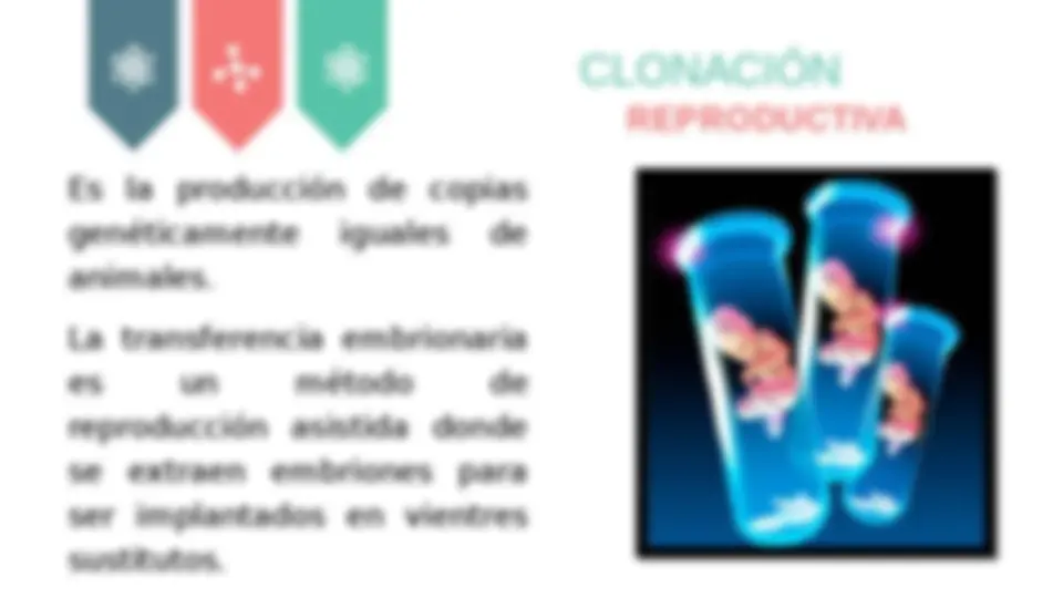 Diapositivas sobre clonación | Diapositivas de Bioética | Docsity