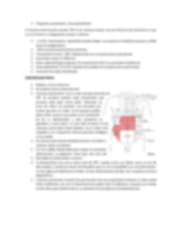 Apendicitis: Definición, Epidemiología, Fisiopatología, Manifestaciones ...