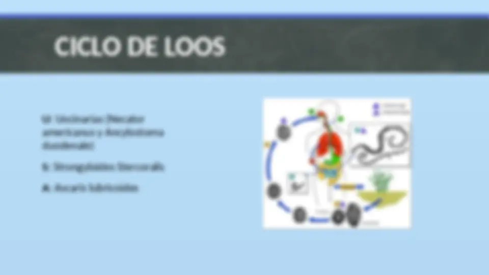 Parasitosis Intestinal: Helmintos, Nematodos y Cestodos | Diapositivas ...