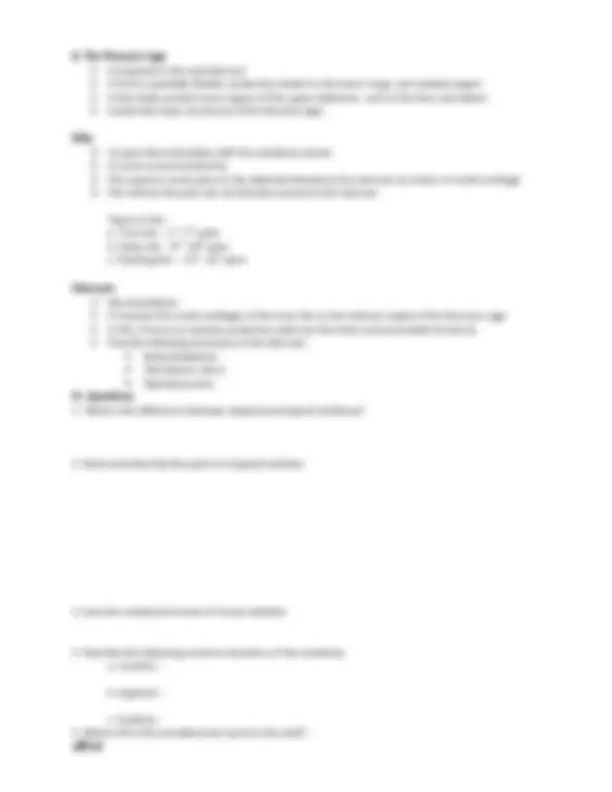 Identifying Axial Skeleton Bones at Fatima Univ.'s Natural Science Dept ...