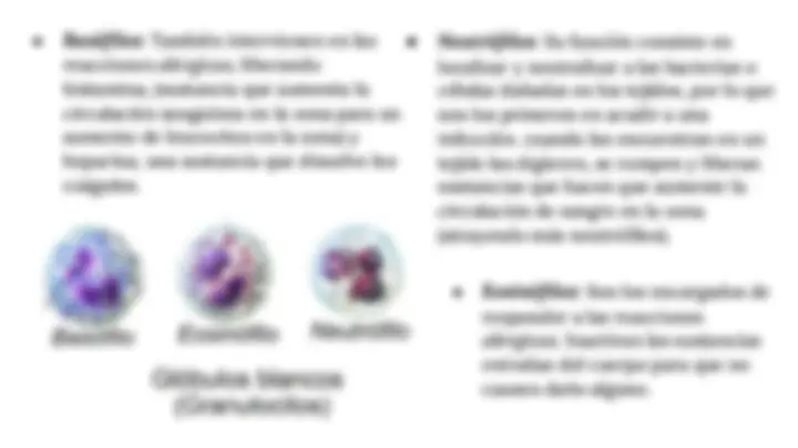 Introducción a la Immunología: Conceptos Básicos y Sistema Inmunitario | Diapositivas de ...