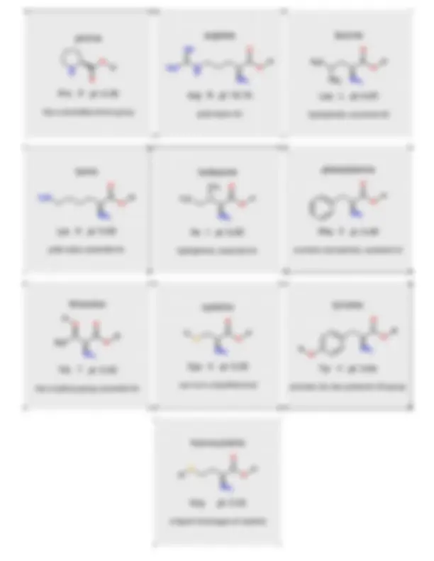 Common acids name and structure | Exercises Biochemistry | Docsity