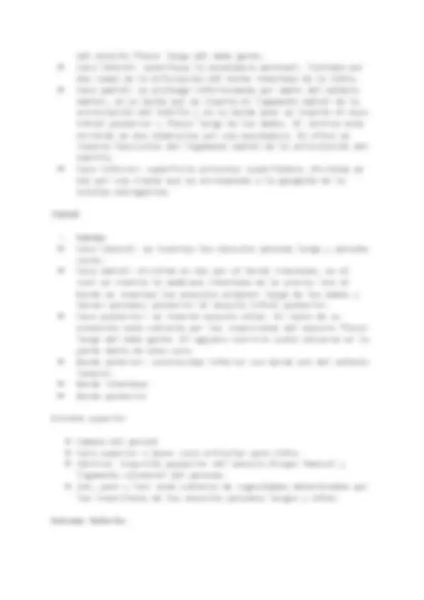 Anatomía de la Rodilla: Rótula, Tibia y Peroné | Apuntes de Anatomía ...