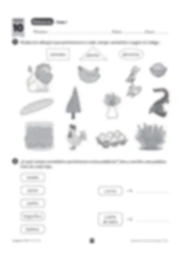 repaso lengua tema 10 de 2ºprimaria en pdf | Ejercicios de Lengua y ...