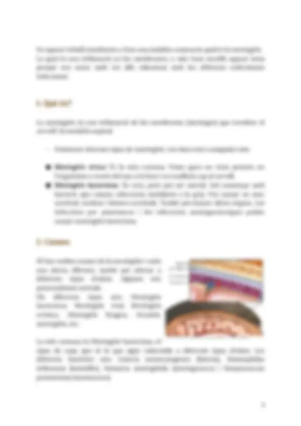 Meningitis: Tipos, Causas, Síntomas y Tratamiento | Resúmenes de ...