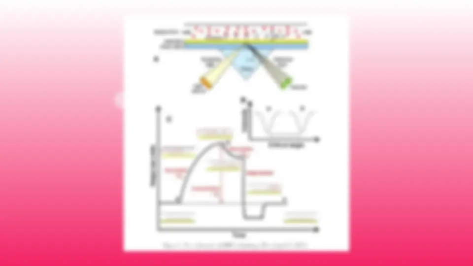Overview of Creative Biostructure's MagHelix™ SPR Services in Drug ...